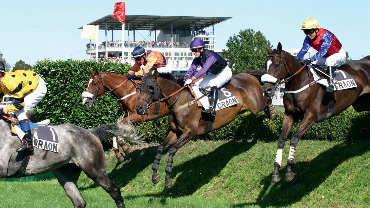 Sonovision - Equidia développe une chaîne TV HD avec Blackmagic