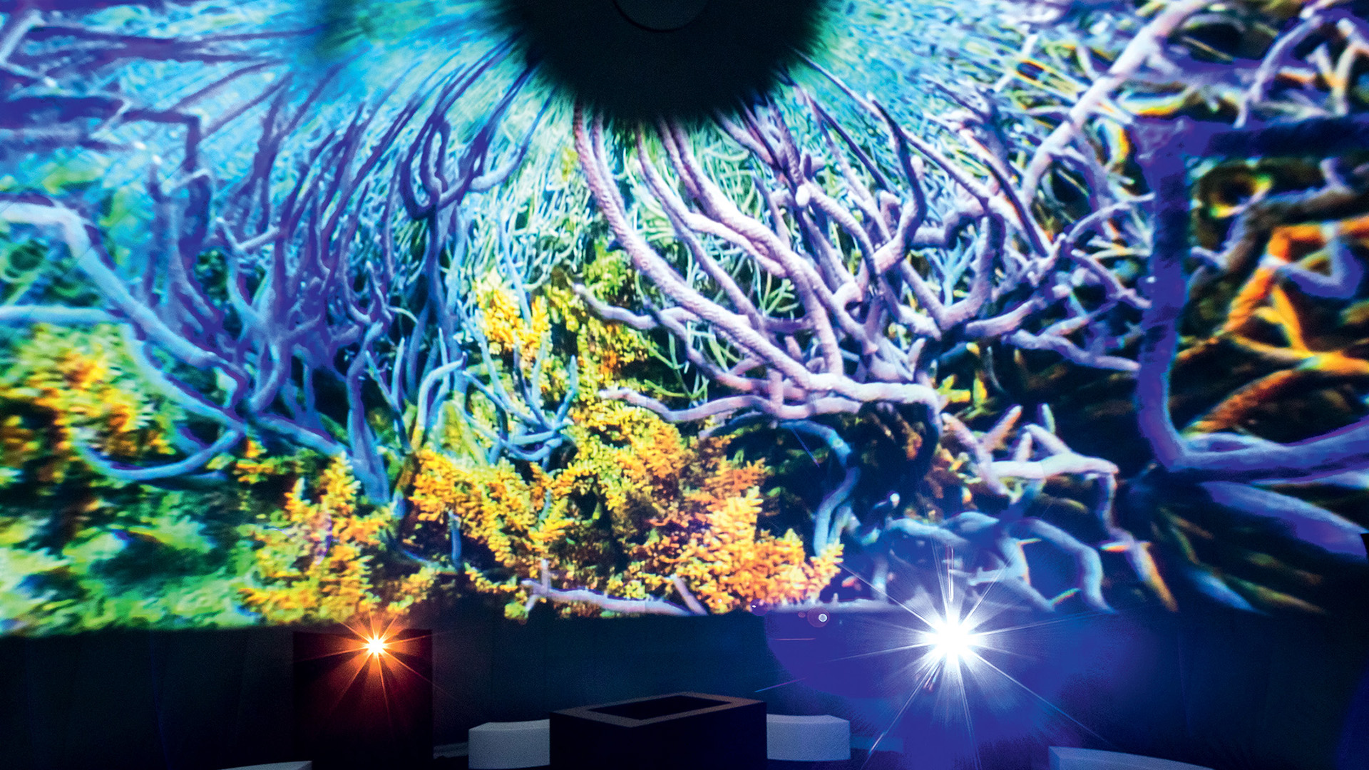 Sonovision - Un dôme gonflable avec une projection 360° pour l ...